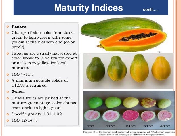Harvesting practices for special market purpose