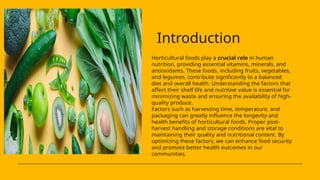 PHT-4-Horticultural-crops-grains-and-legumes.pptx