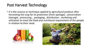 A Successful Bussiness in Post Harvest Technology | PPTX | Agriculture ...