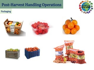 PHT-L8-Post-harvest handling, transportation.pdf