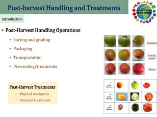 PHT-L8-Post-harvest handling, transportation.pdf