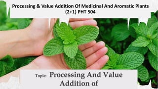 MINT - PHT & Value Addition | PPTX