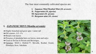 MINT - PHT & Value Addition | PPTX