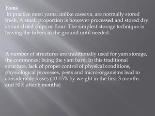 FOOD PROCESSING OF ROOTCROP AND PLANTAION CROPSS | PPTX
