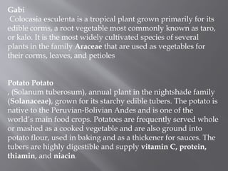 FOOD PROCESSING OF ROOTCROP AND PLANTAION CROPSS | PPT