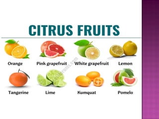 PHT CITRUS ppt.pdf