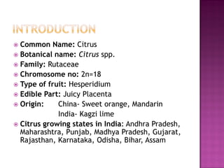 PHT CITRUS ppt.pdf