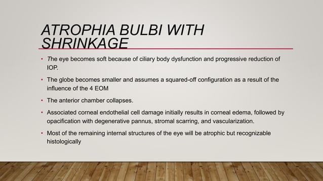 Phthisis bulbi..elias t | PPTX