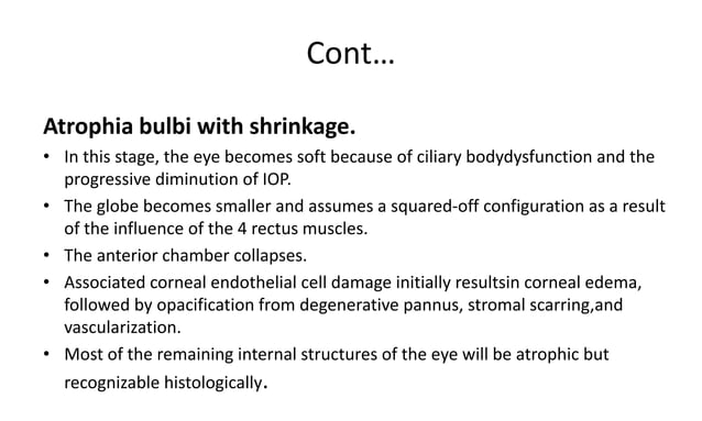 Phthisis bulbi ophthalmology presentation.pptx | Eye and Vision ...