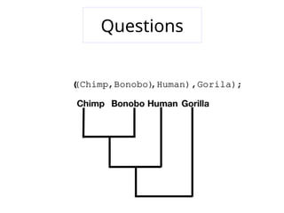 Phtogenetics ppt for basics understanding | PPT