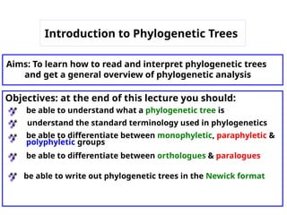 Phtogenetics ppt for basics understanding | PPT