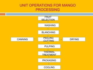 Pht on mango | PPTX