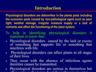 pht ppt 1.pptxbbbbbbbbbbbbghhhhhhhhjjjjhh | PPT
