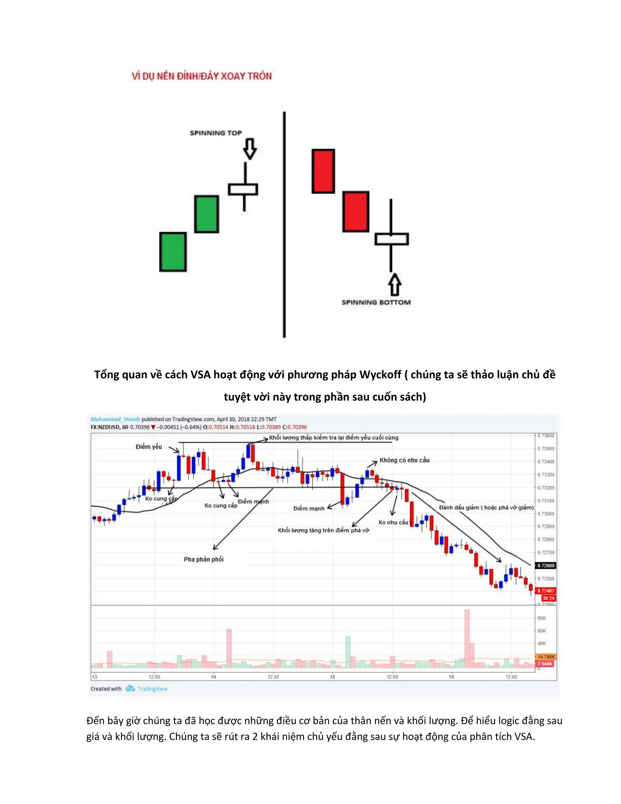 Phuong-phap-Wyckoff-Vsa-Muhammad-Uneeb.pdf