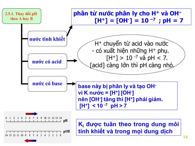 Phuong phap acid base | PDF
