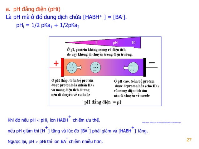 Phuong phap acid base | PDF