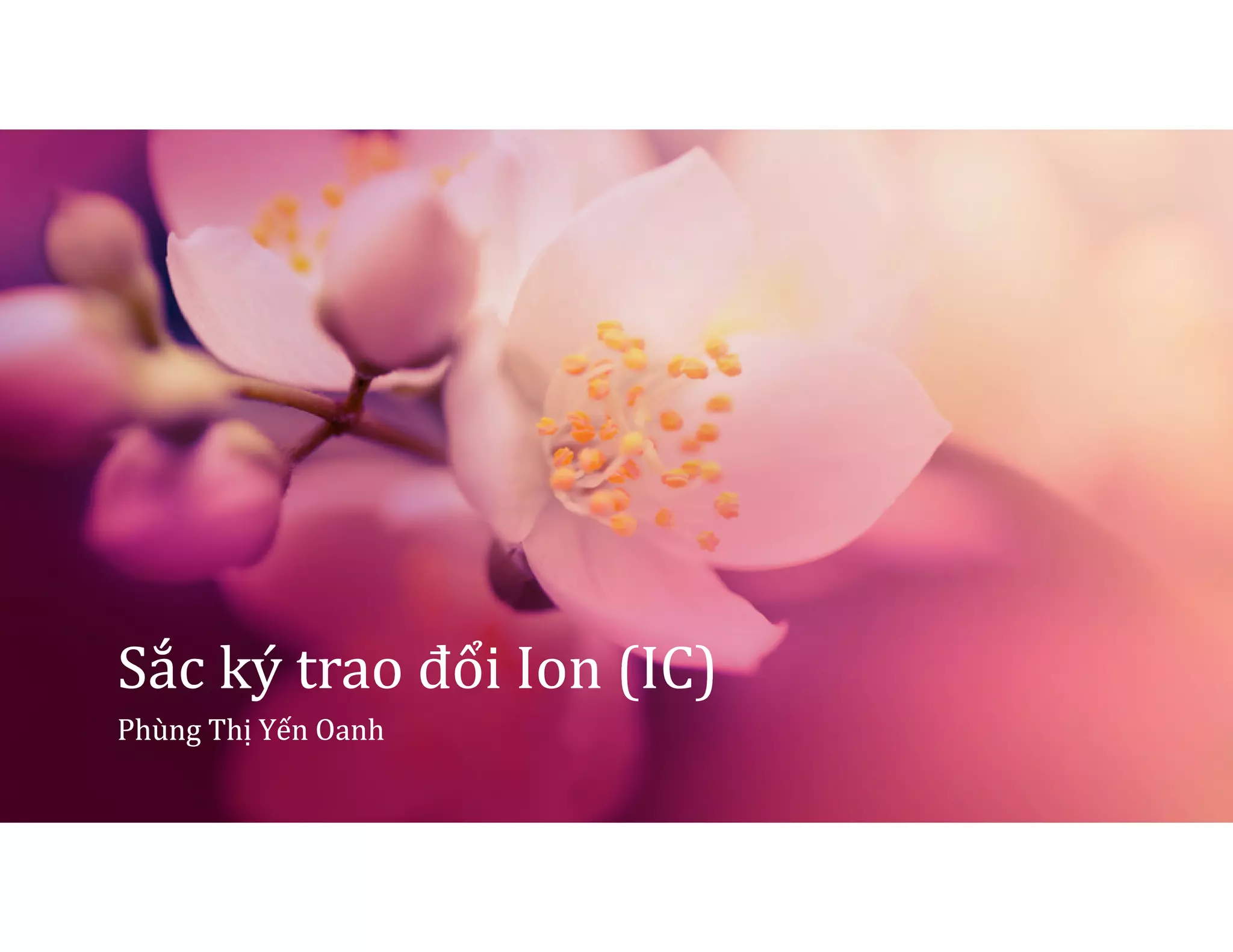 Phuong phap ic chuan do dien the trao doi ion co dien ky thuat duong ...