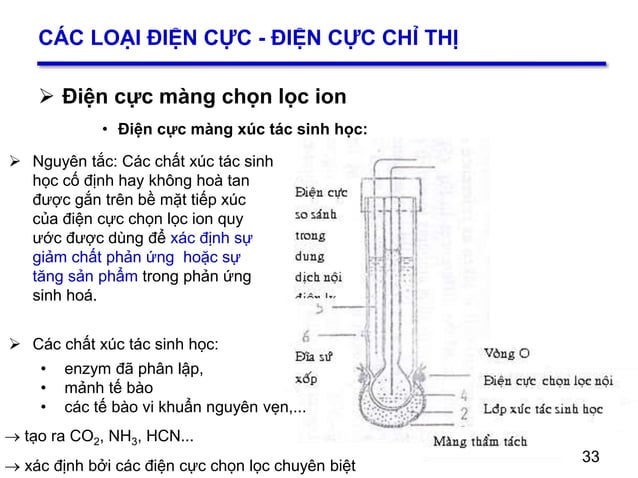 Phuong phap phan tich dien hoa-chuyen đề điện hóa.pptx