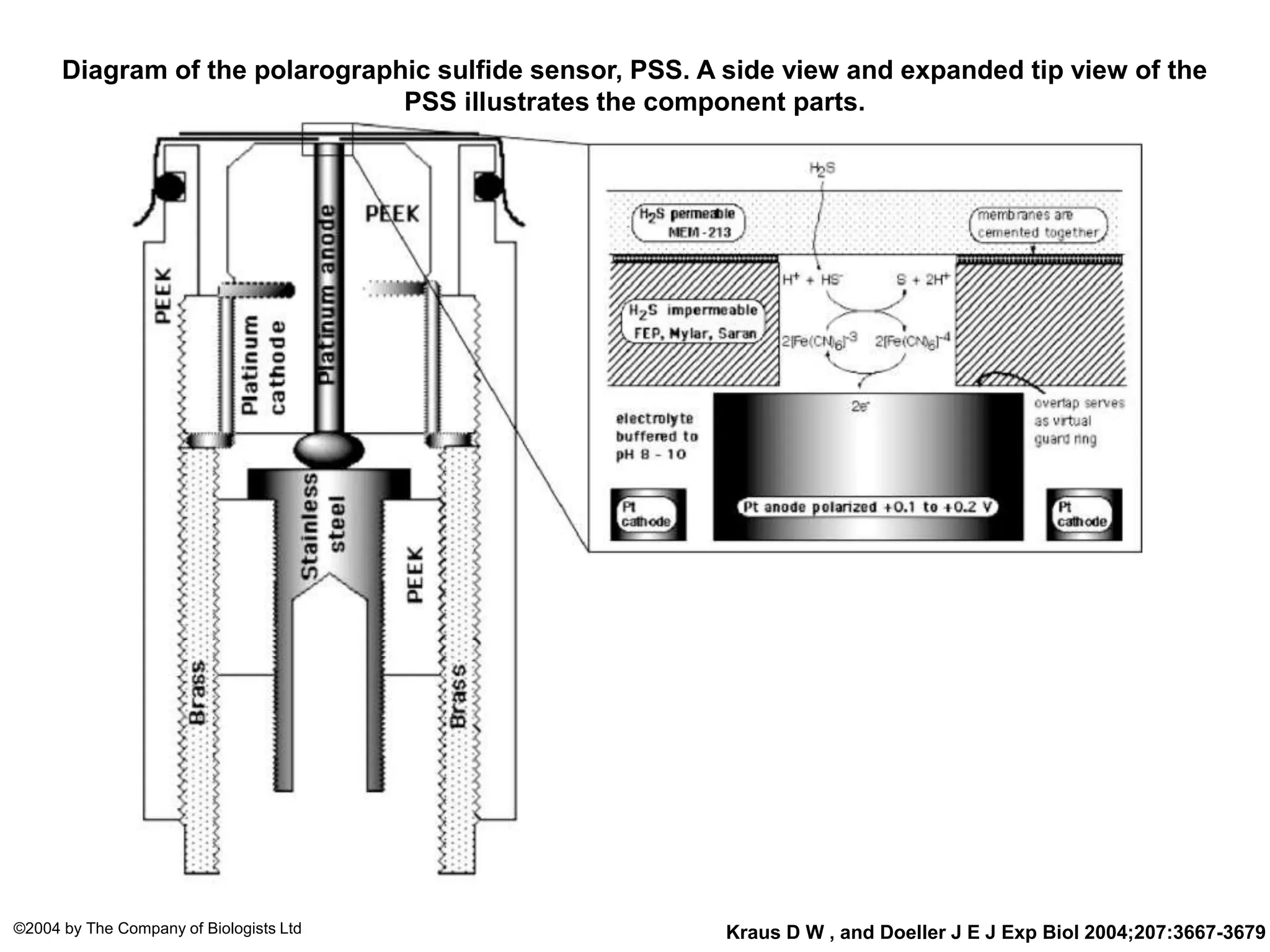 Phuong phap phan tich volt ampe | PPTX