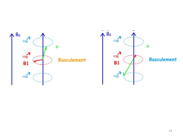 PHUONG PHAP PHO CONG HUONG TU HAT NHAN PHO NMR.pptx