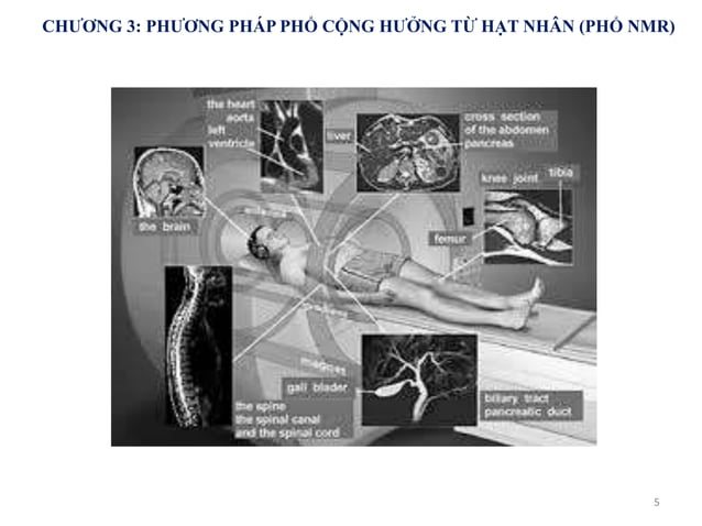 PHUONG PHAP PHO CONG HUONG TU HAT NHAN PHO NMR.pptx