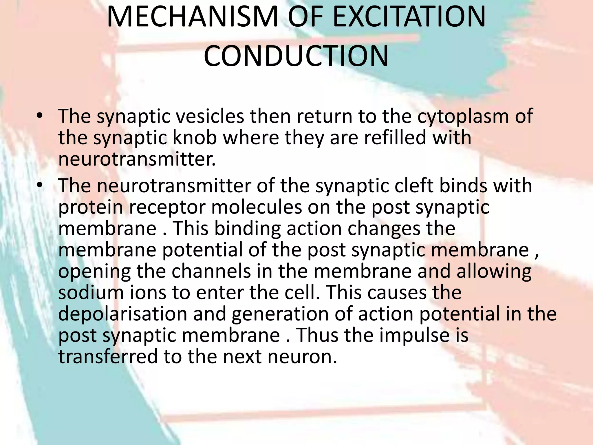 Motor synapse and mechanism of excitation | PPTX