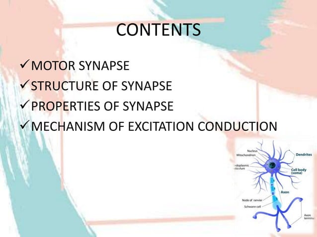 Motor synapse and mechanism of excitation | PPTX