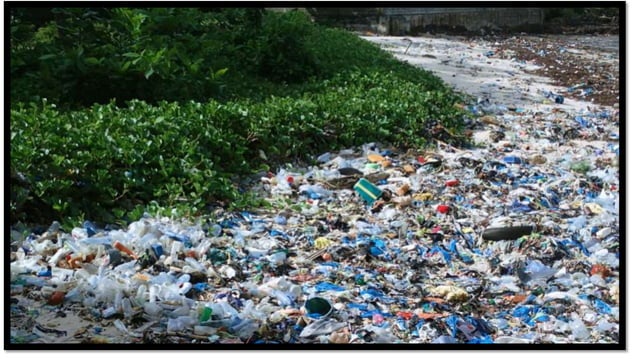 Utilization of waste plastic in manufacturing of bricks | PPTX