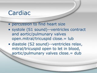 HIPPIRONEL---physical assessment | PPT