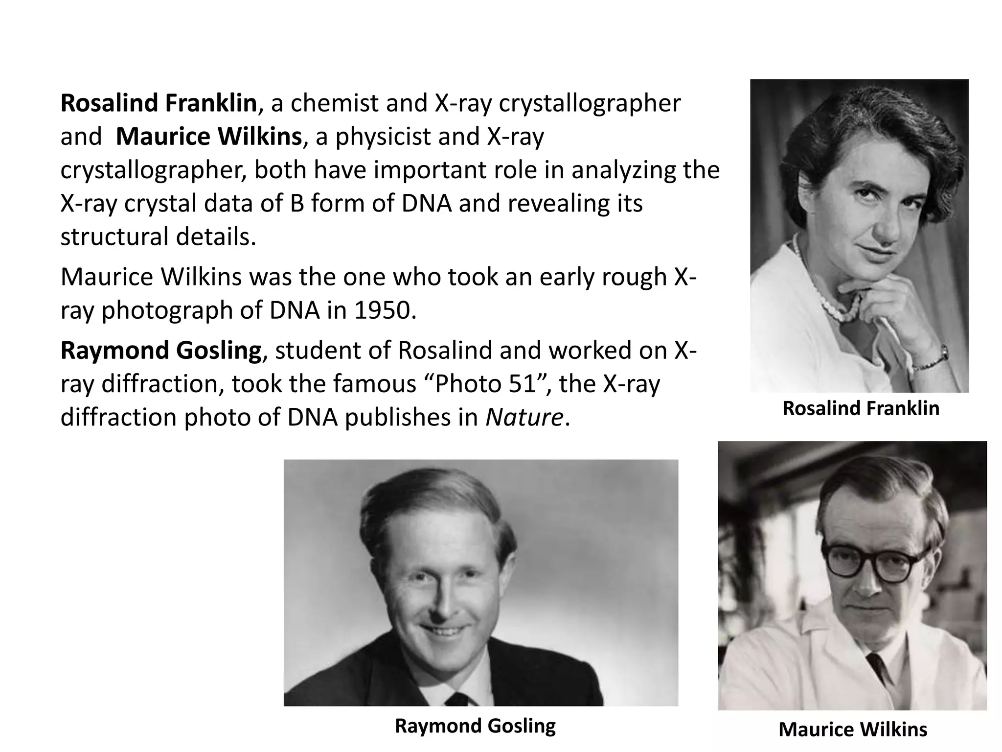 Contribution of Physicists and Chemists in Biology | PPTX