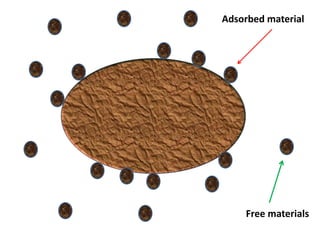 Physisorption chemisorption and work function change induced by ...