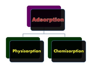 Physisorption chemisorption and work function change induced by ...