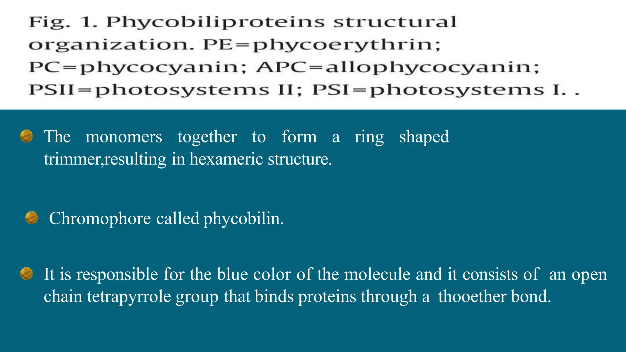 Phycocyanin Introduction/ Application and uses | PPTX