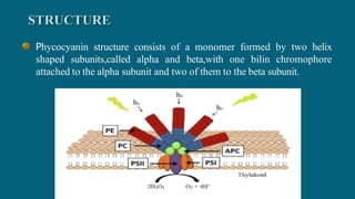 Phycocyanin Introduction/ Application and uses | PPTX
