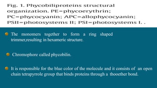 Phycocyanin Introduction/ Application and uses | PPTX