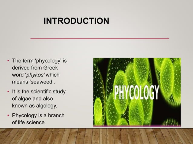 phycology powerpoint presentation | PPT