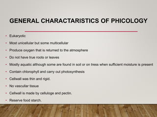 phycology powerpoint presentation | PPT