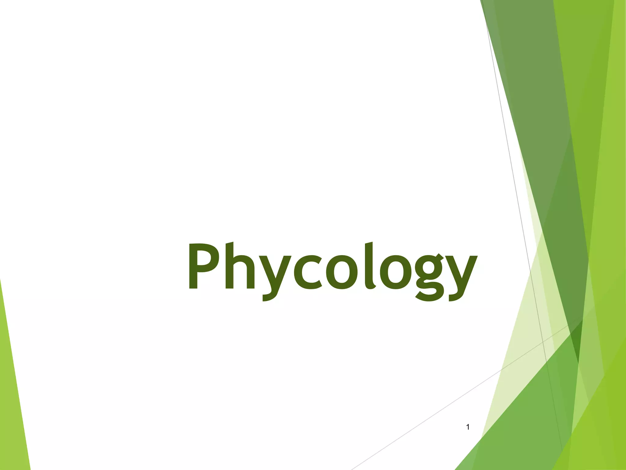 Phycology algae ... presentation | PPT