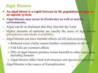 Phycology algae ... presentation | PPT
