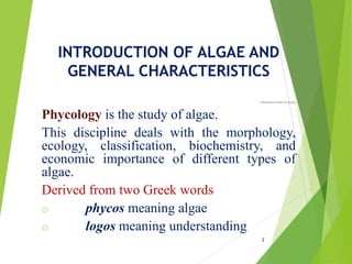 Phycology algae ... presentation | PPT
