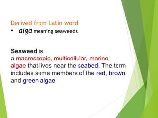Phycology algae ... presentation | PPT