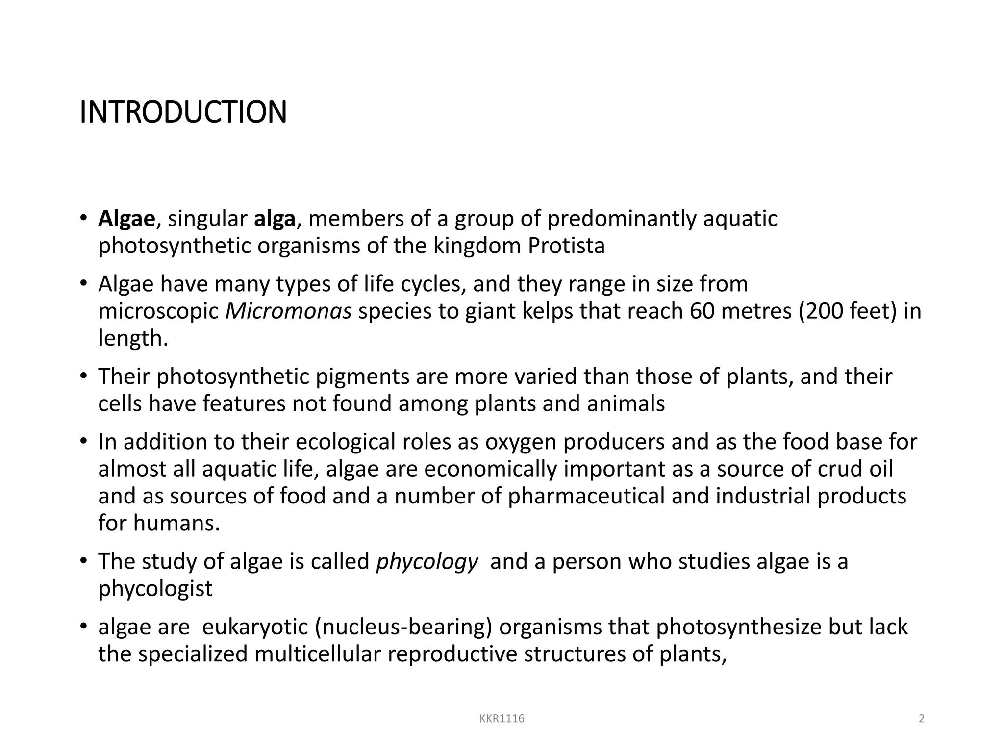 Phycology of algae | PPTX