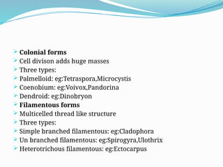 phycology.pptx............................ | PPT