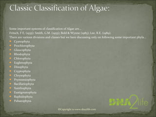 Phycology basic presentation | PPT