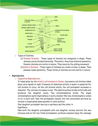 PHYCOLOGY - REFERENCE TEXT BOTANY MASTERS ALGAE | PDF