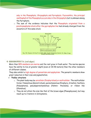 PHYCOLOGY - REFERENCE TEXT BOTANY MASTERS ALGAE | PDF