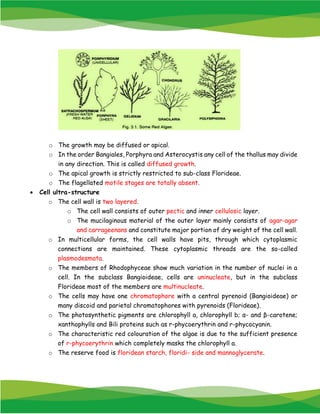 PHYCOLOGY - REFERENCE TEXT BOTANY MASTERS ALGAE | PDF
