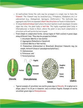 PHYCOLOGY - REFERENCE TEXT BOTANY MASTERS ALGAE | PDF
