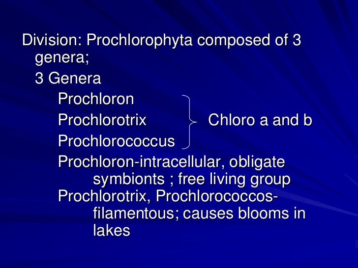Phycology lecture Phycology lecture