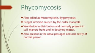 PHYCOMYCOSIS.pptx